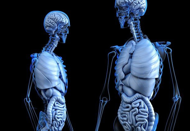 Eje microbiota-intestino-cerebro. Su relación en el binomio salud ...